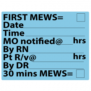 First mews | Mermed