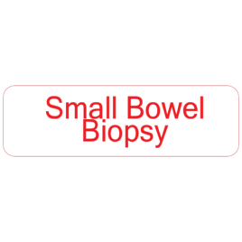 Small Bowel Biopsy | Mermed