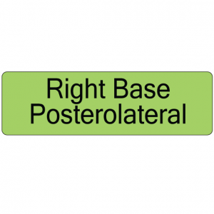 Right Base Posterolateral | Mermed