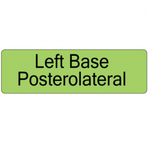 Left base Posterolateral | Mermed