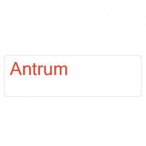 Antrum | Mermed