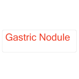 Gastric Nodule | Mermed