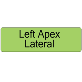 Left Apex Lateral | Mermed