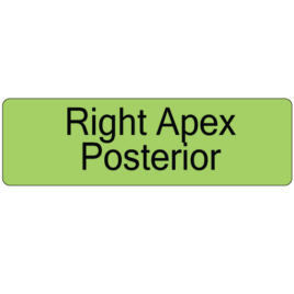 Right Apex Posterior | Mermed
