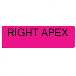 Right Apex | Mermed