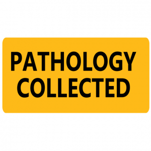 Pathology Collected | Mermed